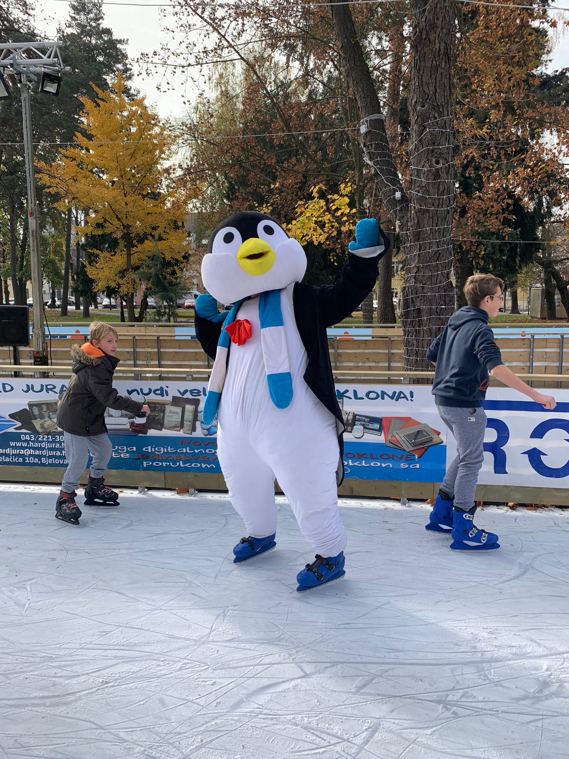 Skating School | Ice Wonderland®️ | Basic & Advanced